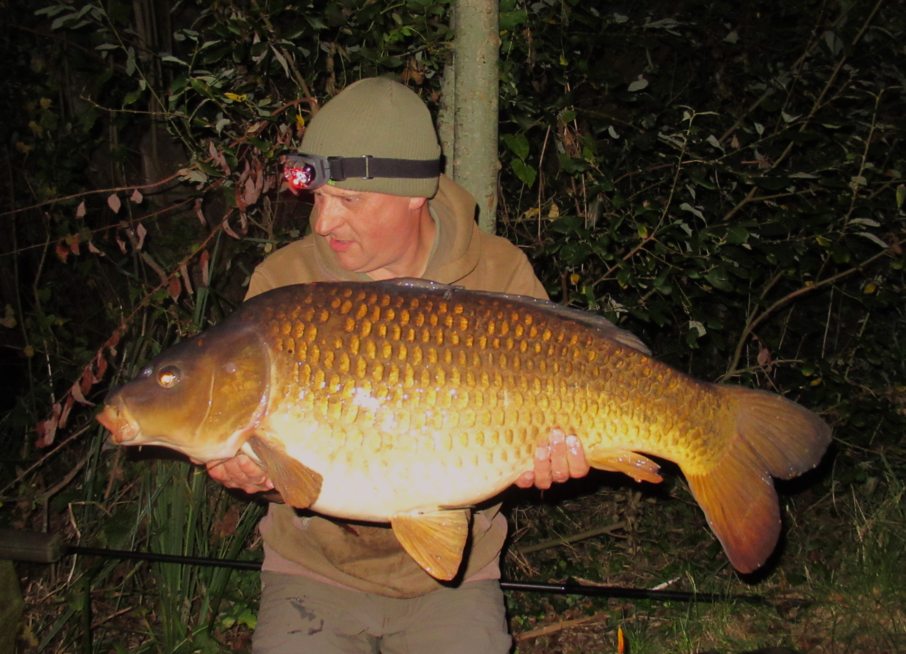 Night time Common | Total Carp
